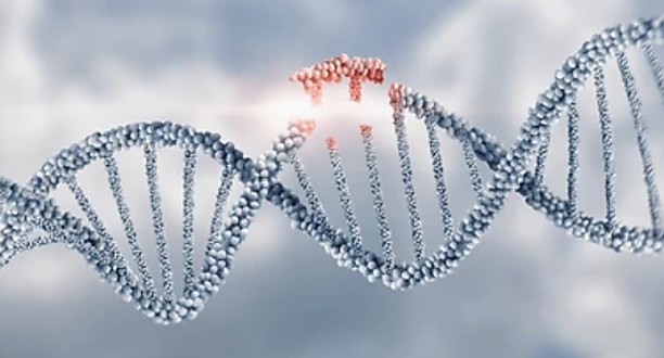 From Newborn Screening to Genetic Testing: A Complete Diagnostic Guide ...