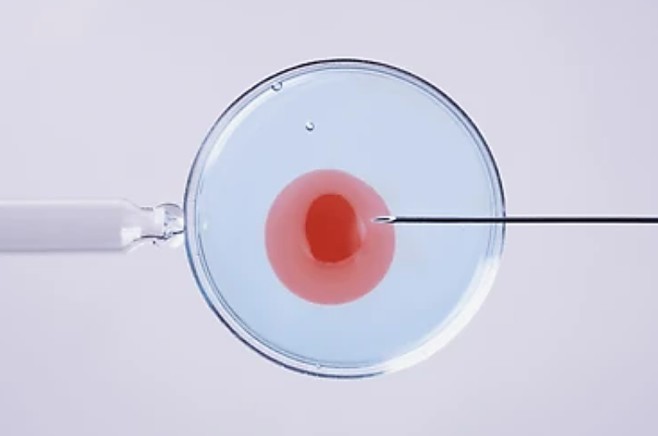 From Newborn Screening to Genetic Testing: A Complete Diagnostic Guide ...