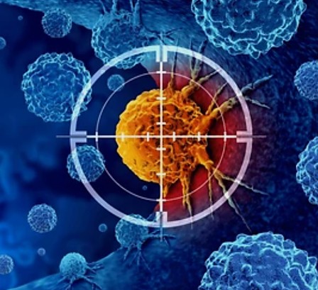 From Newborn Screening to Genetic Testing: A Complete Diagnostic Guide ...